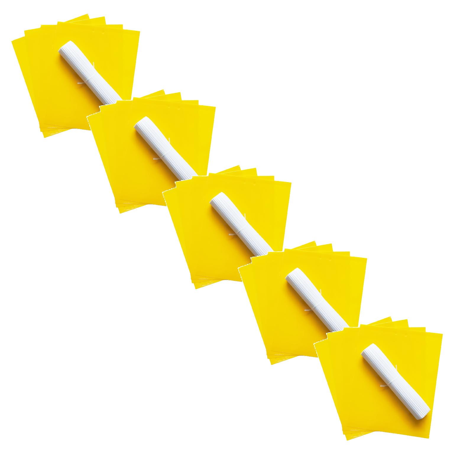 50pcs Fruit Fly Sticky Trap for Indoor and Outdoor Yellow Sticky Board ...