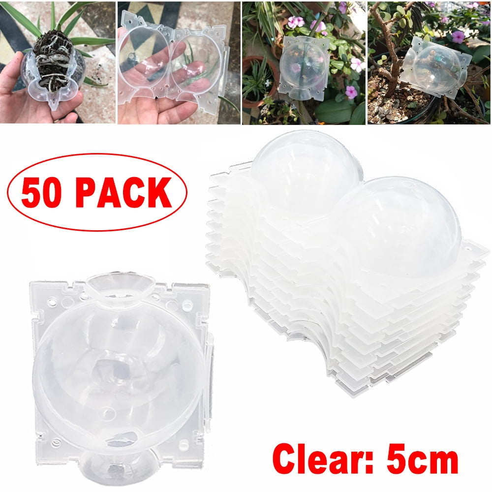 50pcs Garden Plant Root Balls Clear Grafting Rooting Growing Reusable ...