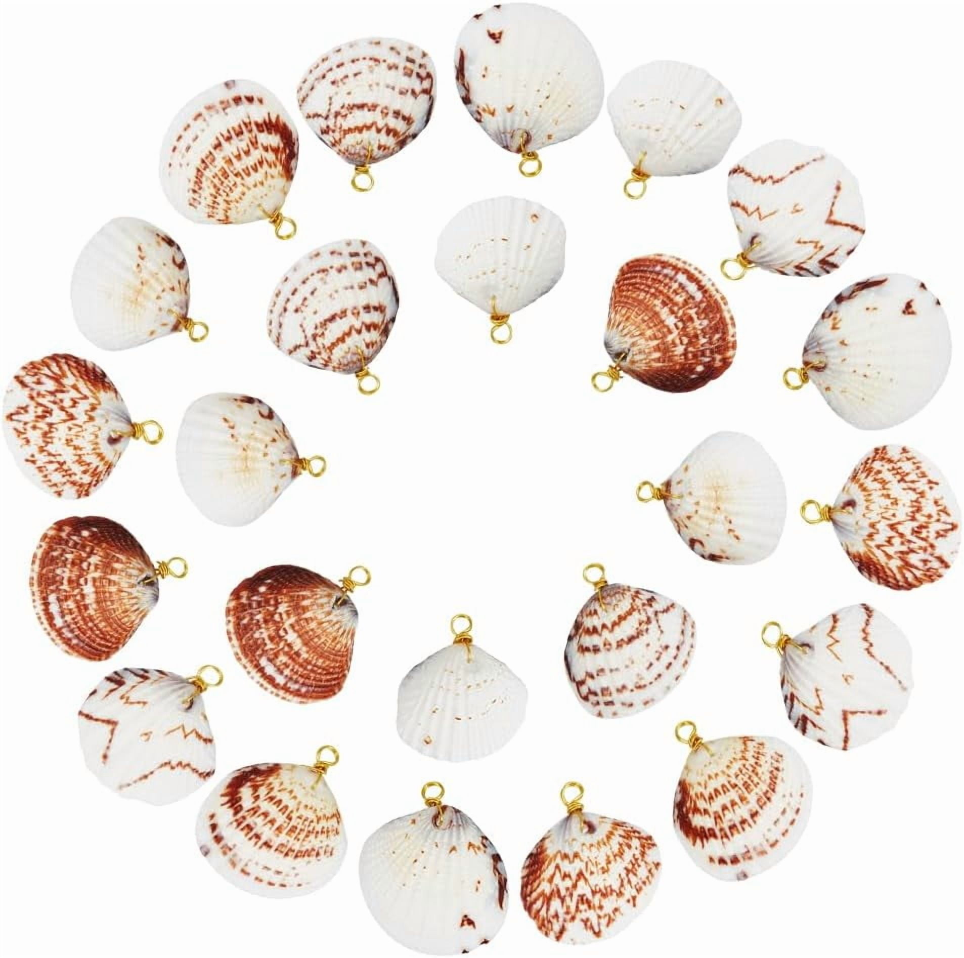 50pcs Natural Shell Charms Scallop Shell Pendants with Loop Cowrie Shells Charm Beach Seashell ...