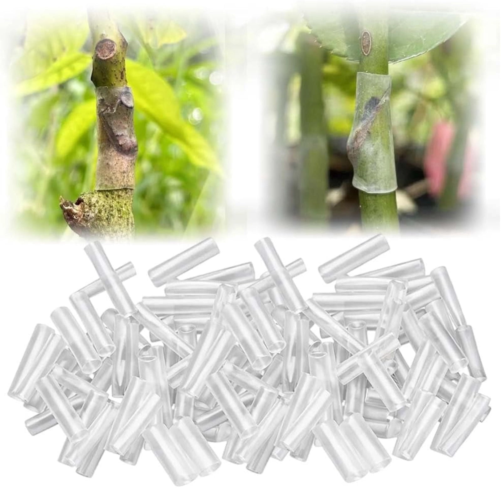 50pcs Silicone Grafting Sleeves for Fruit Trees Plants, Grafting Kit ...