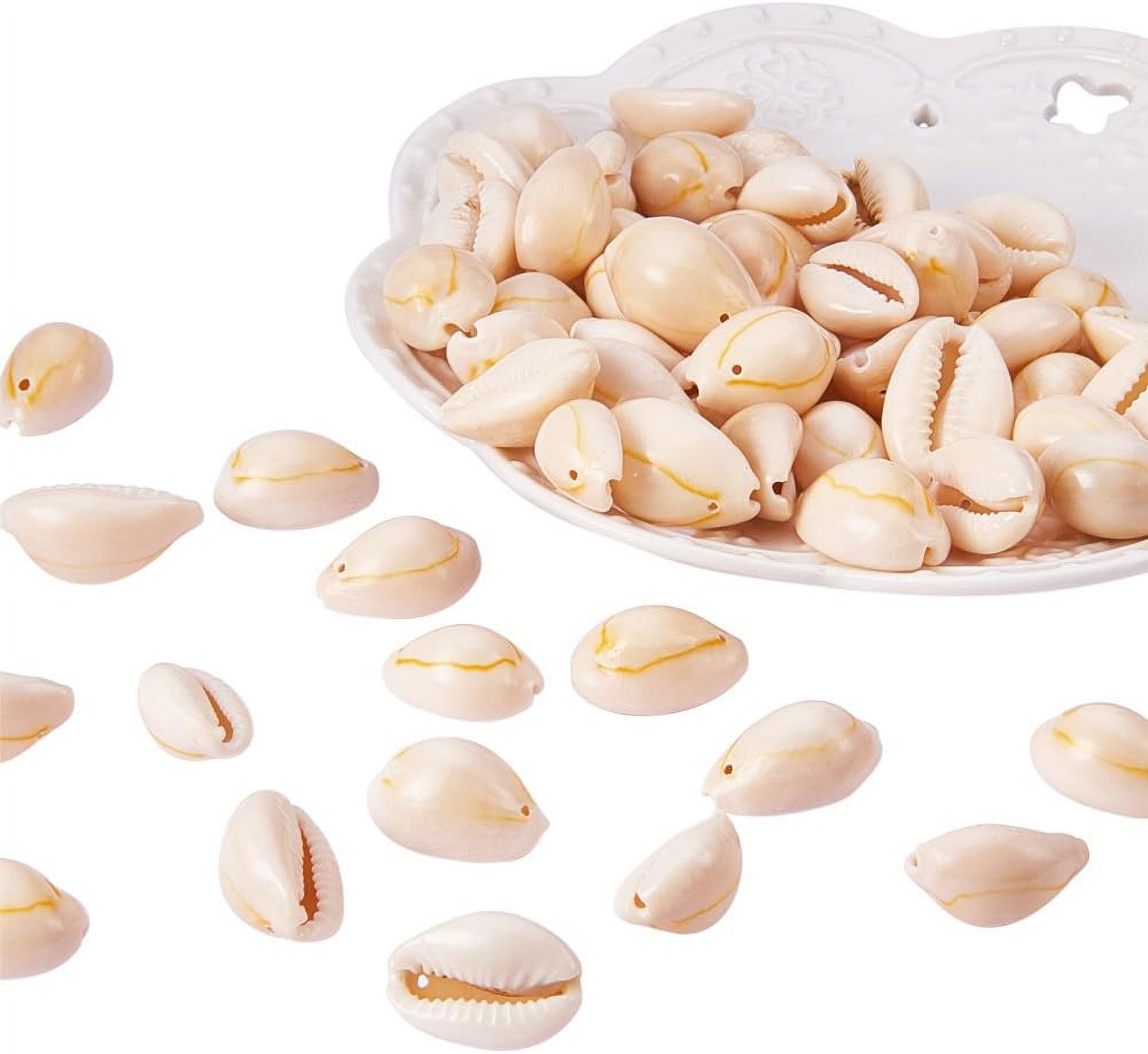 50pcs Spiral Seashell Beads Beach Cowrie Sea Shells White Natural Shell ...