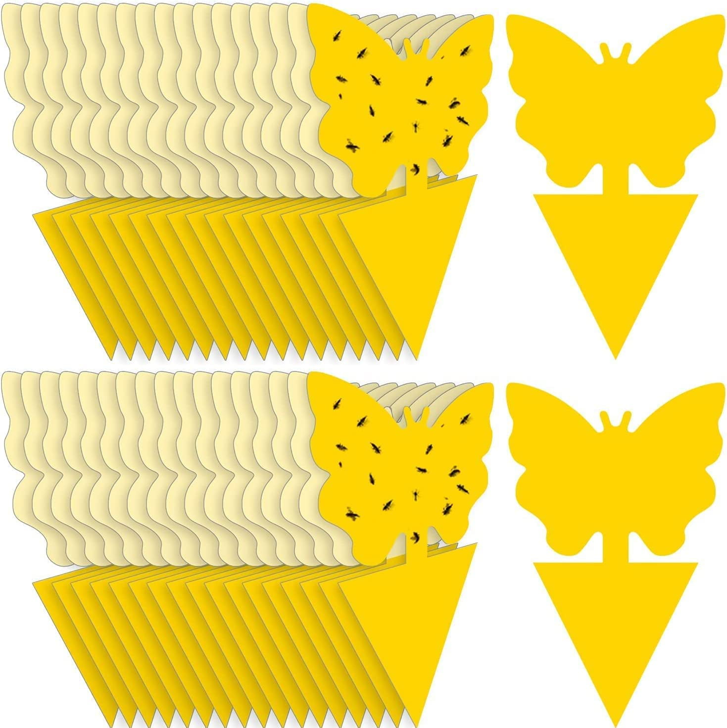 50pcs Sticky Traps Plant Trap for Gnats,Fruit Fly Traps,Non-Toxic and ...