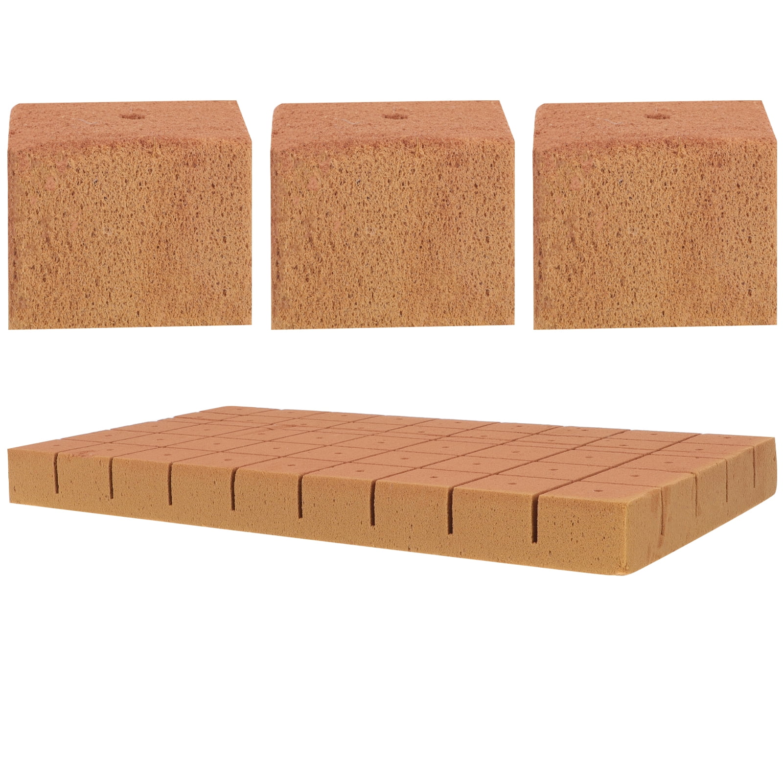 Vegetable Garden Supplies with 50pcs Professional Nutrient Blocks for ...