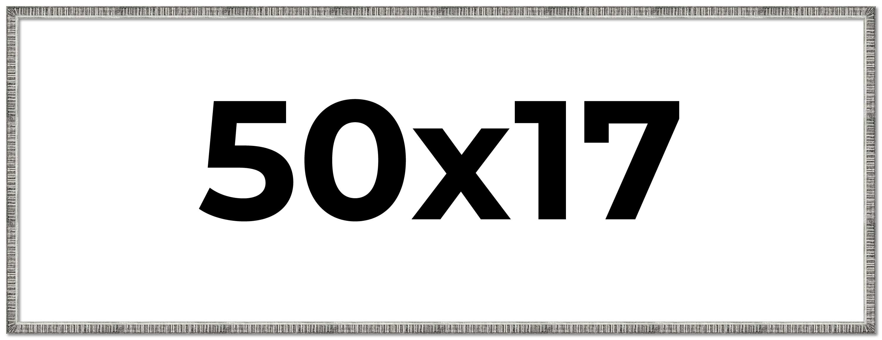 50x17 Frame Silver Picture Frame - Complete Modern Photo Frame Includes ...