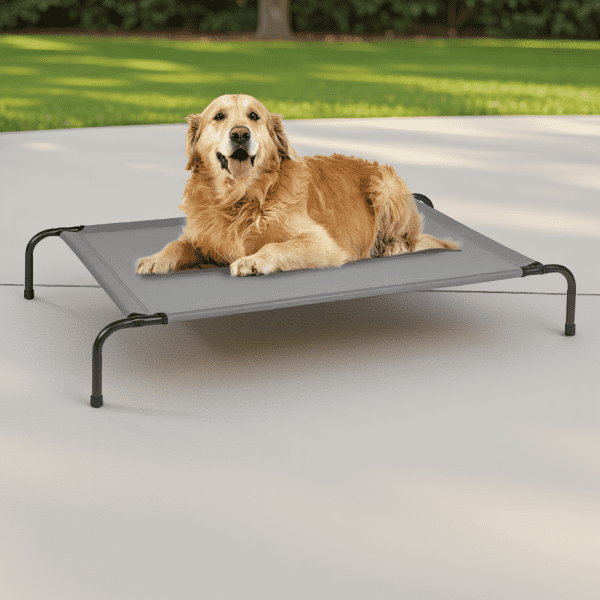 50x31x8 Inch Elevated Dog Bed with Breathable Textilene and Powder ...