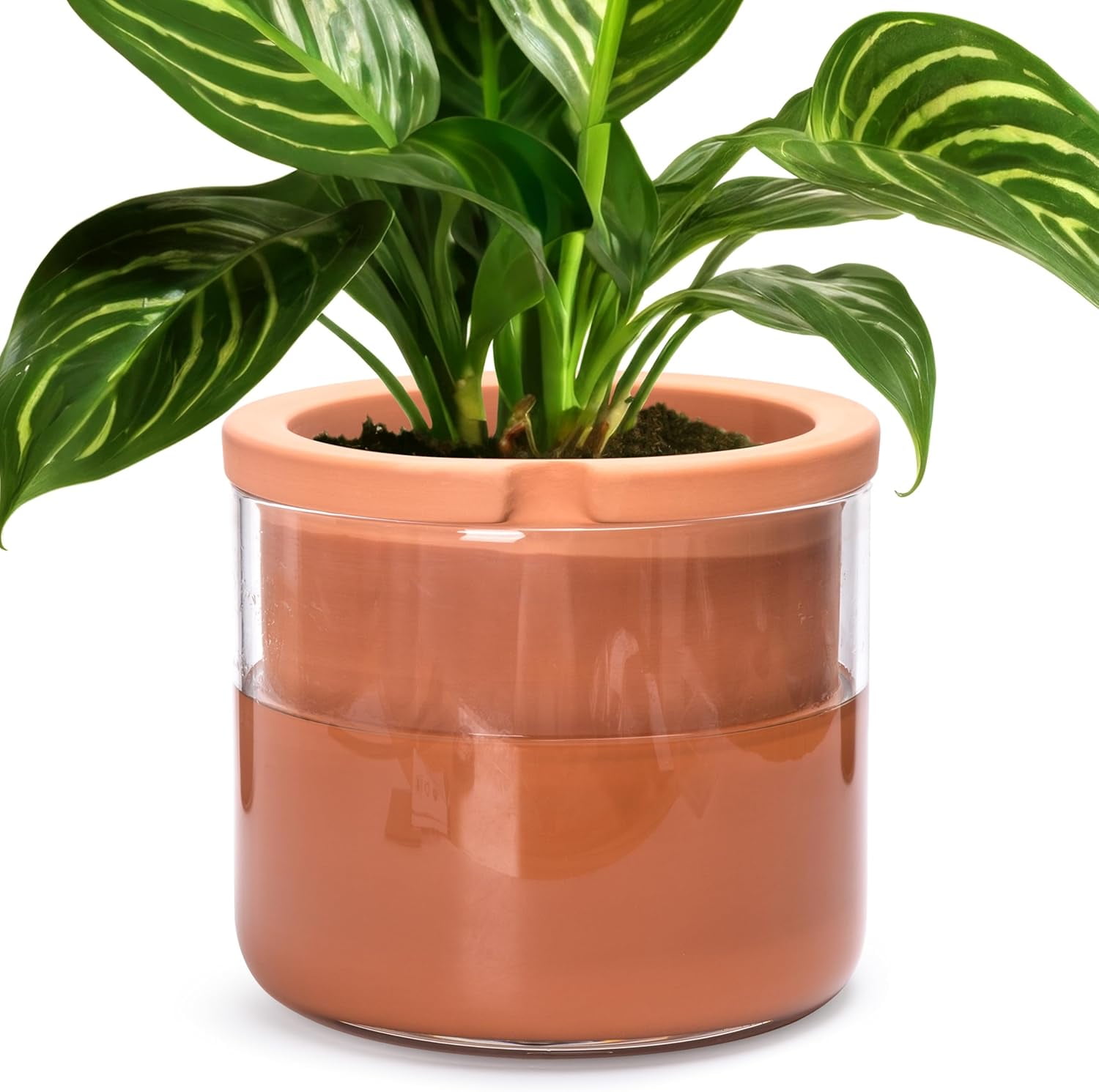 51-A-H-1 Set of 1, 8 Inch Self Watering Planter Pots, Design White ...