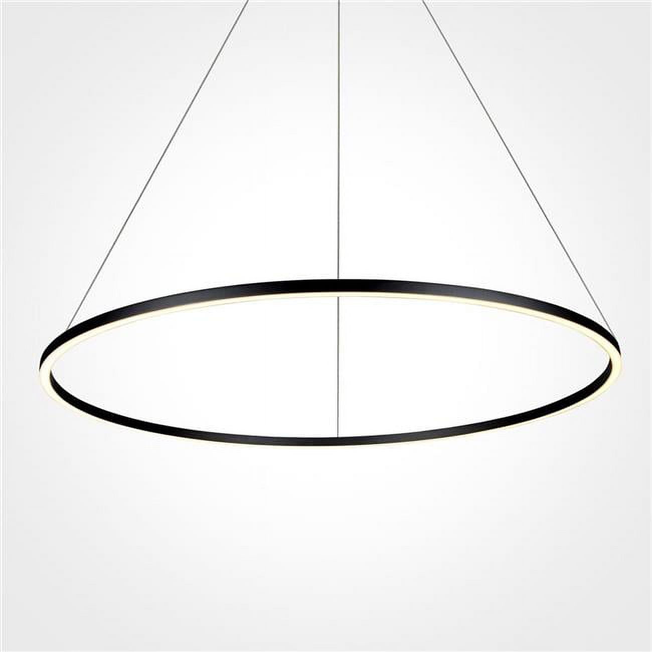 51 in. Tania Adjustable Suspension Fixture, Modern Circular LED ...
