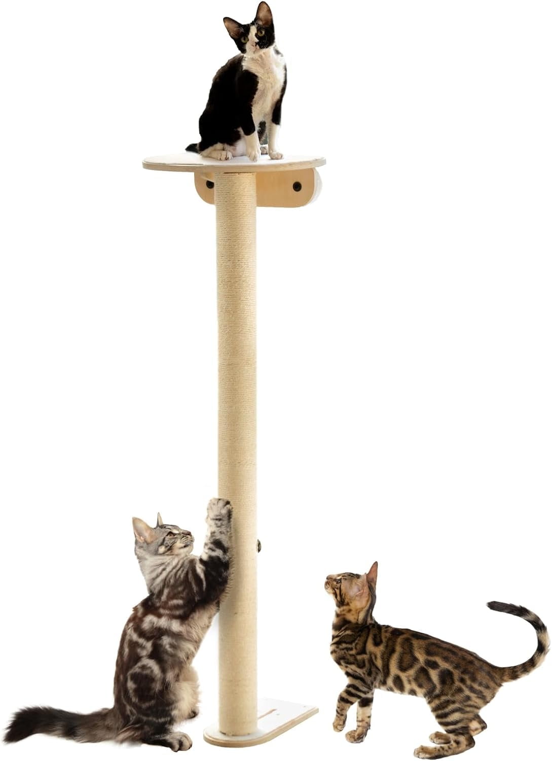 52" Tall Cat Scratching Post for Indoor Cats and Kittens with Platform ...