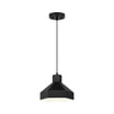 Access Lighting 1 Light Pendant in Black with Antique Brushed Brass ...