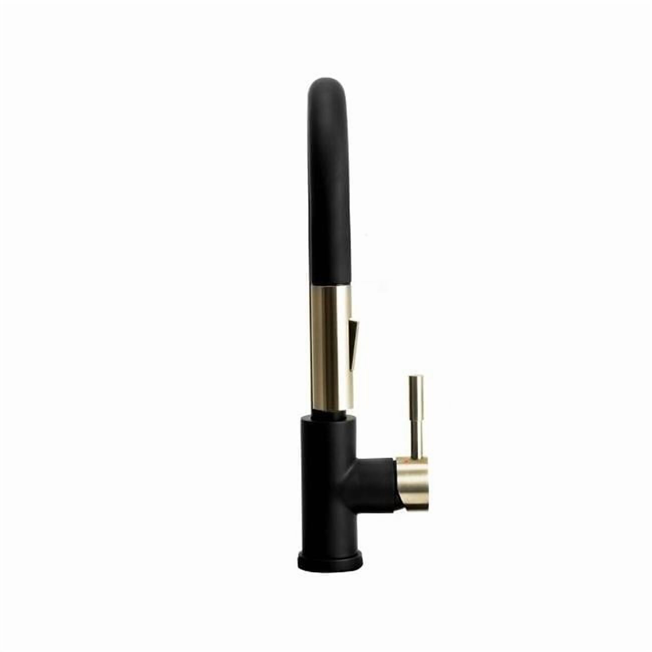 530SLKMBSN Streamline Pull-Down RV Kitchen Faucet, Matte Black & Satin ...