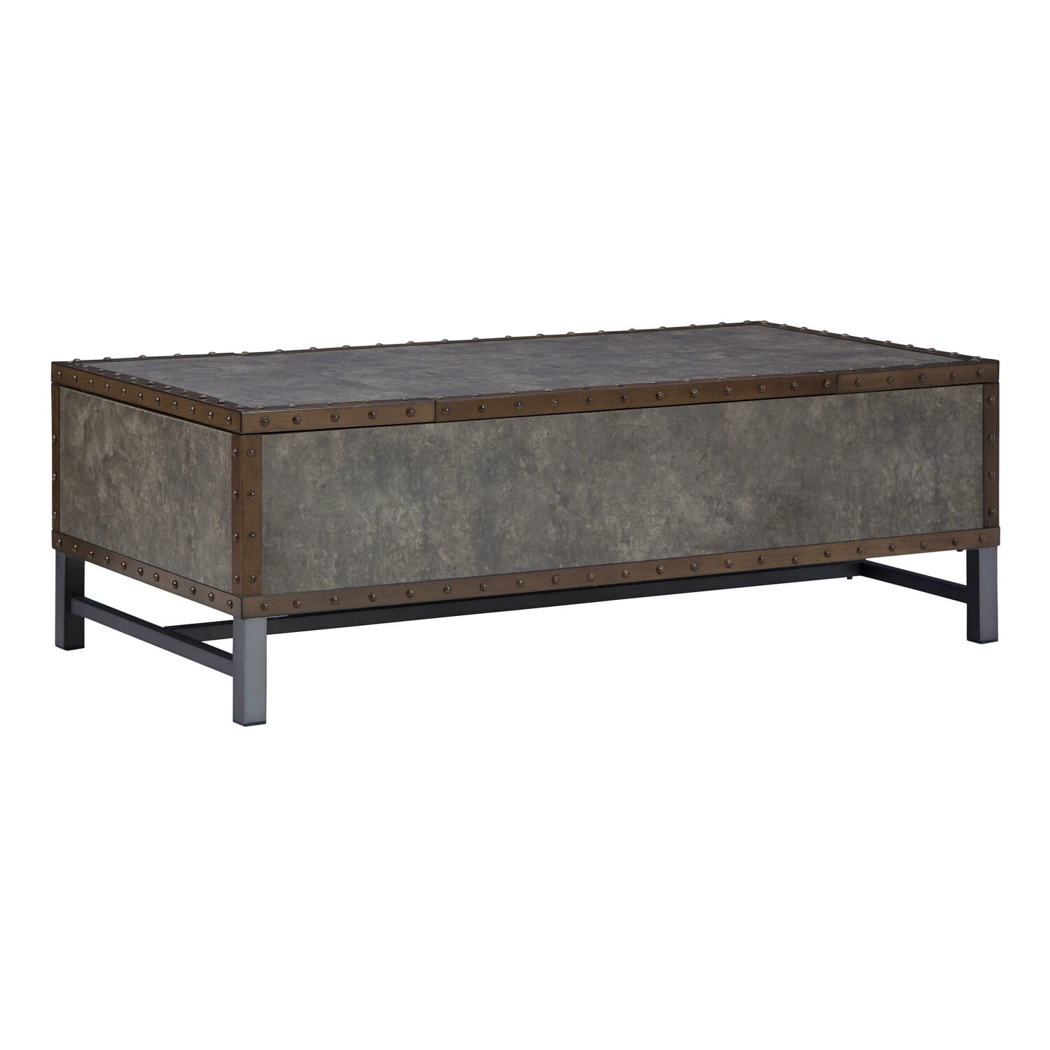 54 Inch Rectangular Trunk Coffee Table Lift Top with 2 Bins Bronze Gray ...