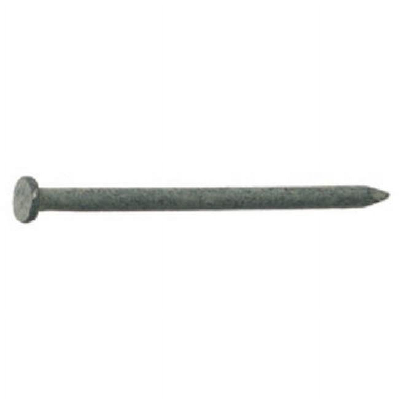 54205 20D Hot Galvanized Smooth Shank Common Nail - Walmart.com