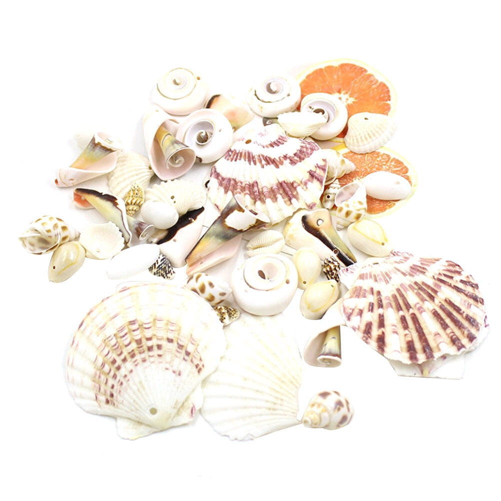 54Pcs DIY Dreamcatcher Pendants Assorted Natural Shells DIY Crafts ...