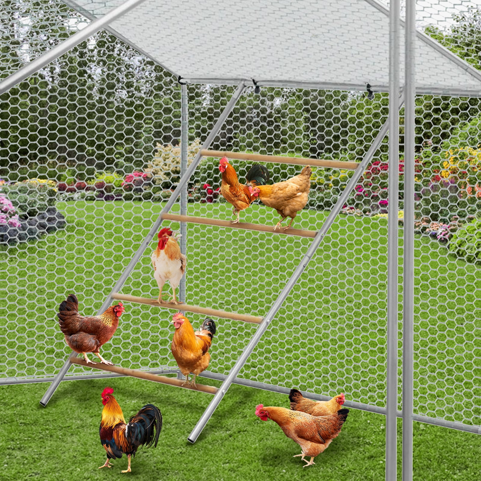 55"*39” Durable Chicken Perch Roosting Bars for Coop – Easy to Assemble ...
