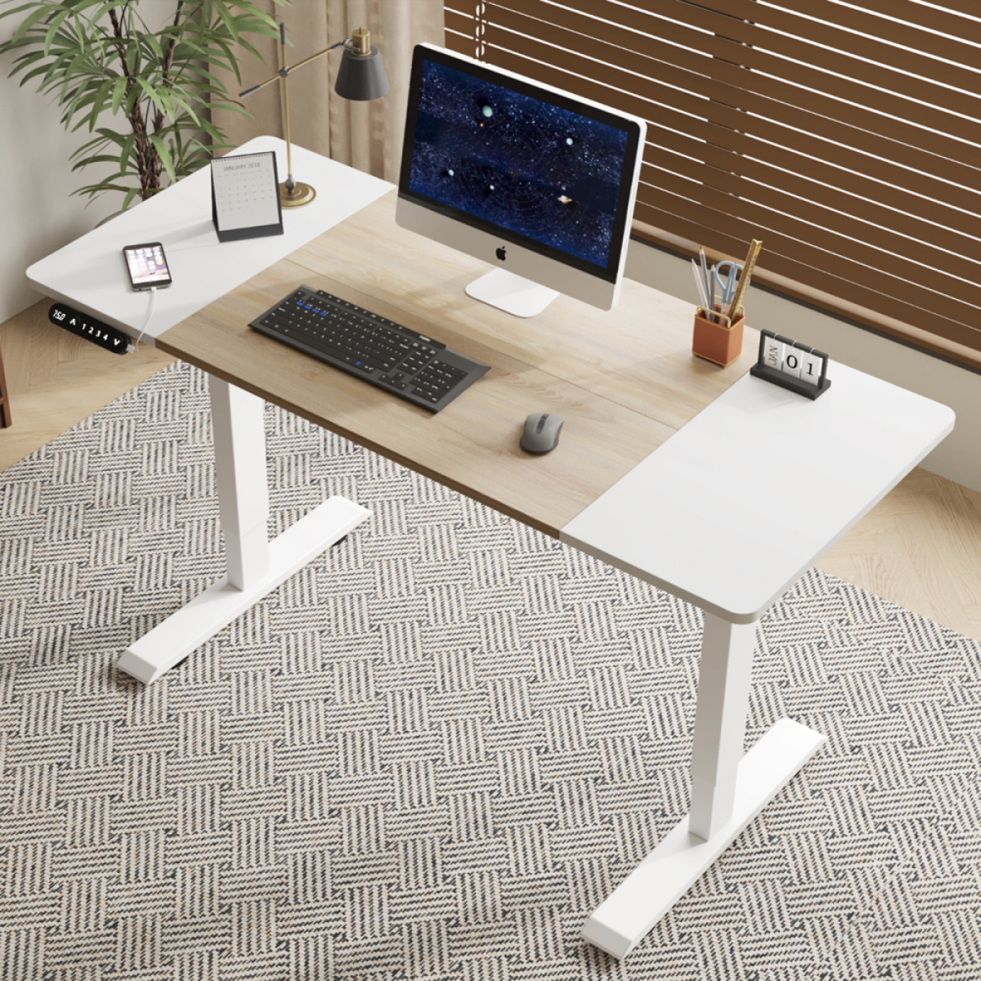 55" Electric Standing Desk - Height Adjustable Modern Luxury Table for ...