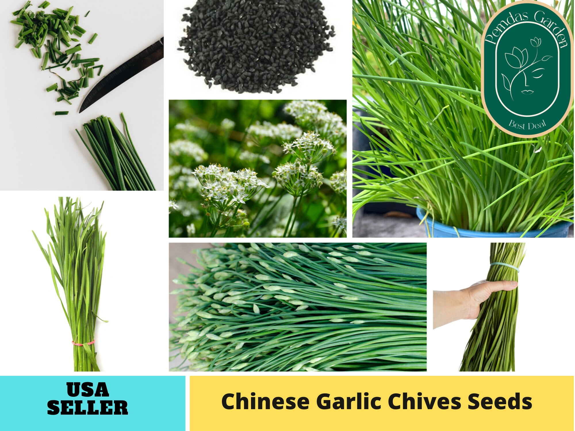 55 Seeds| Chinese Chives Garlic Seeds- Authentic Seeds ~ GMO Free ...