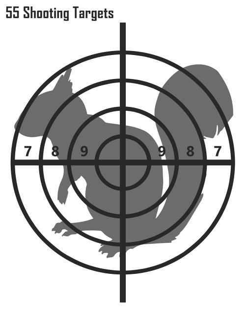 Shooting Targets: 55 Shooting Targets: Squirrel Shooting Targets ...