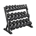 550 LBS Rubber Hex Dumbbell Set with Storage Rack, Anti-Roll Nonslip ...