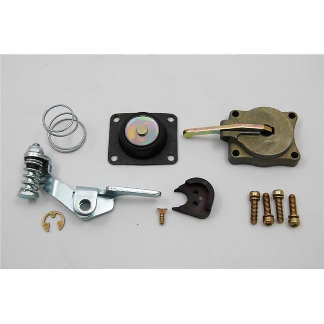 5565 50CC Accelerator Pump Kit - Walmart.com