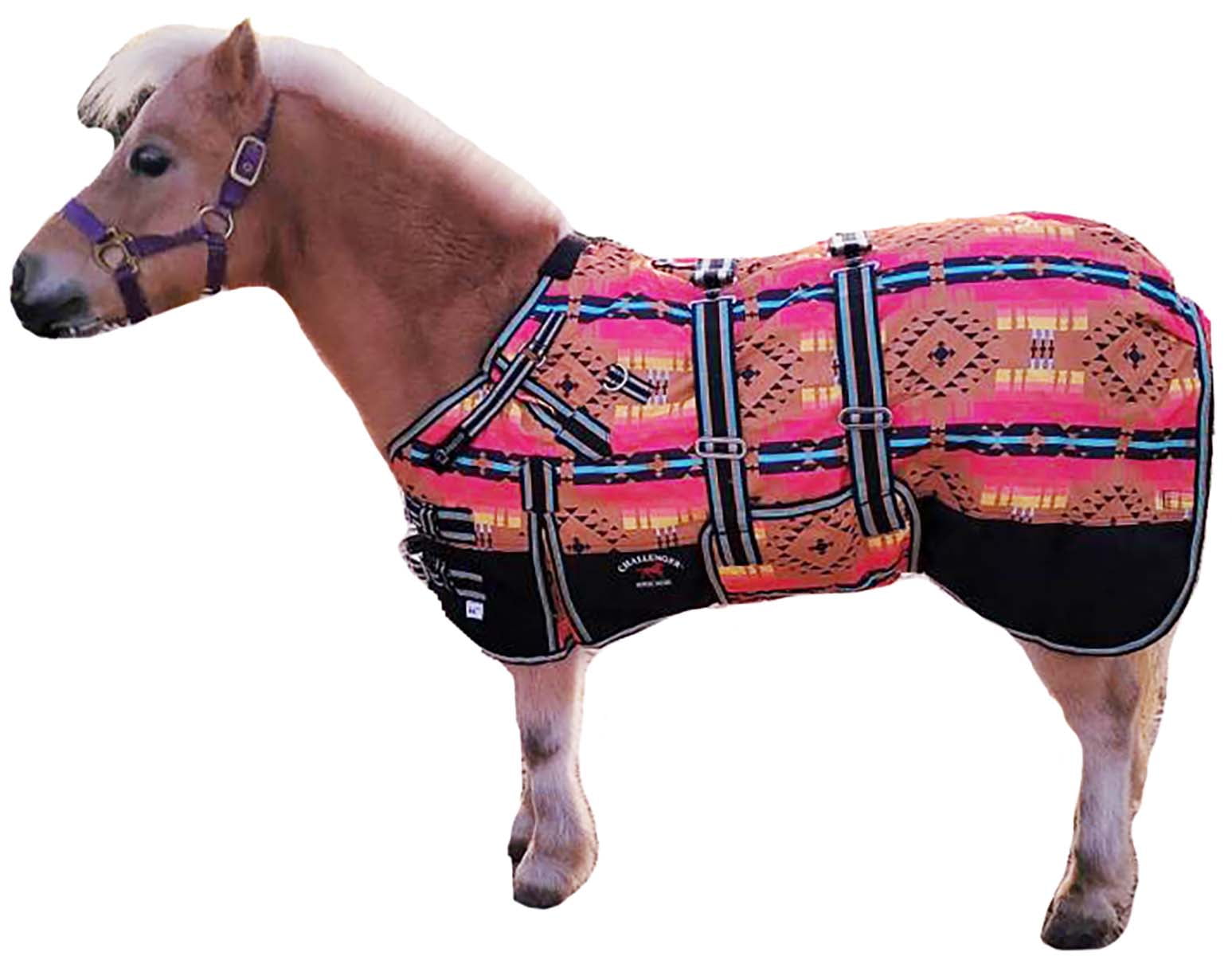 56" 1200D Miniature Weanling Donkey Pony Horse Foal Winter Blanket ...