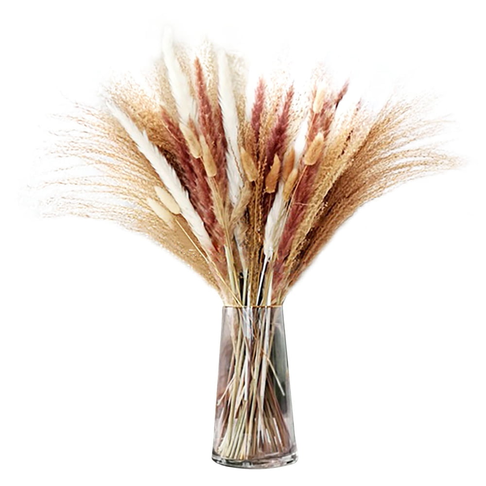 56pcs Dried Pampas Grass Plumes Decoration,Natural Dried Lagurus Ovatus ...