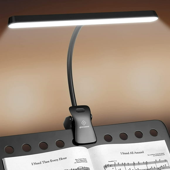 Rechargeable Music Stand Lights