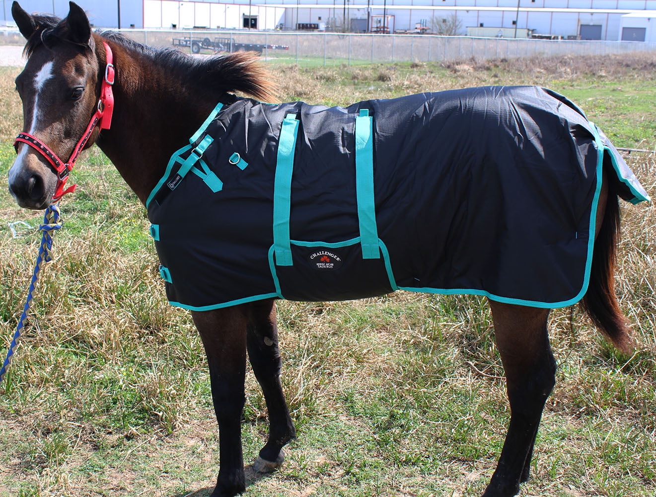 58" 1200D Miniature Weanling Donkey Pony Horse Foal Winter Blanket Teal ...