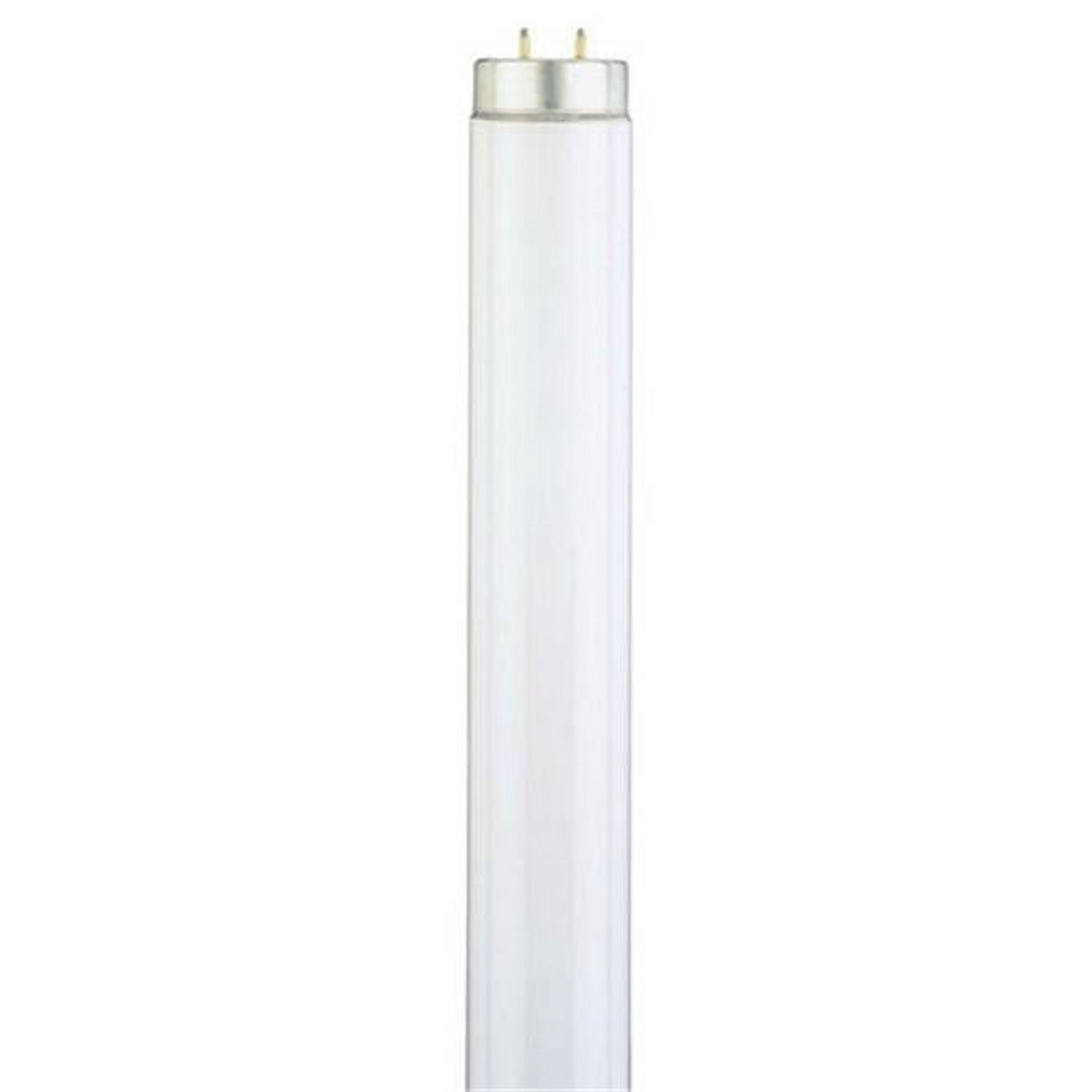 591400 40 watt T12 Linear Fluorescent Light Bulb, Cool White Deluxe ...