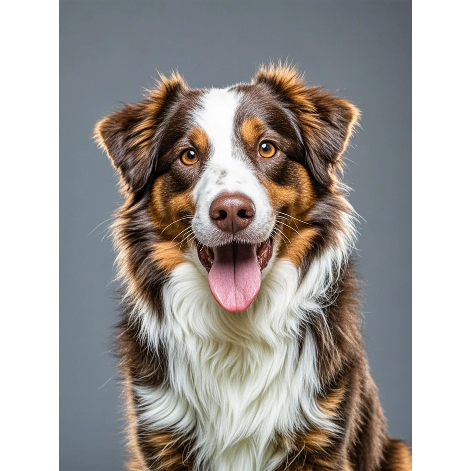 5D Diamond Art Australian Shepherd Diamond Painting DIY Kits Full Round ...