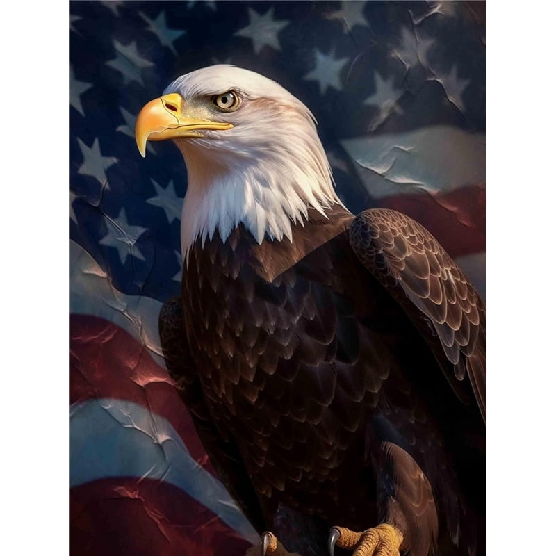 5D Diamond Art Kits for Adults Flag Eagle, Full Drill Animal DIY ...