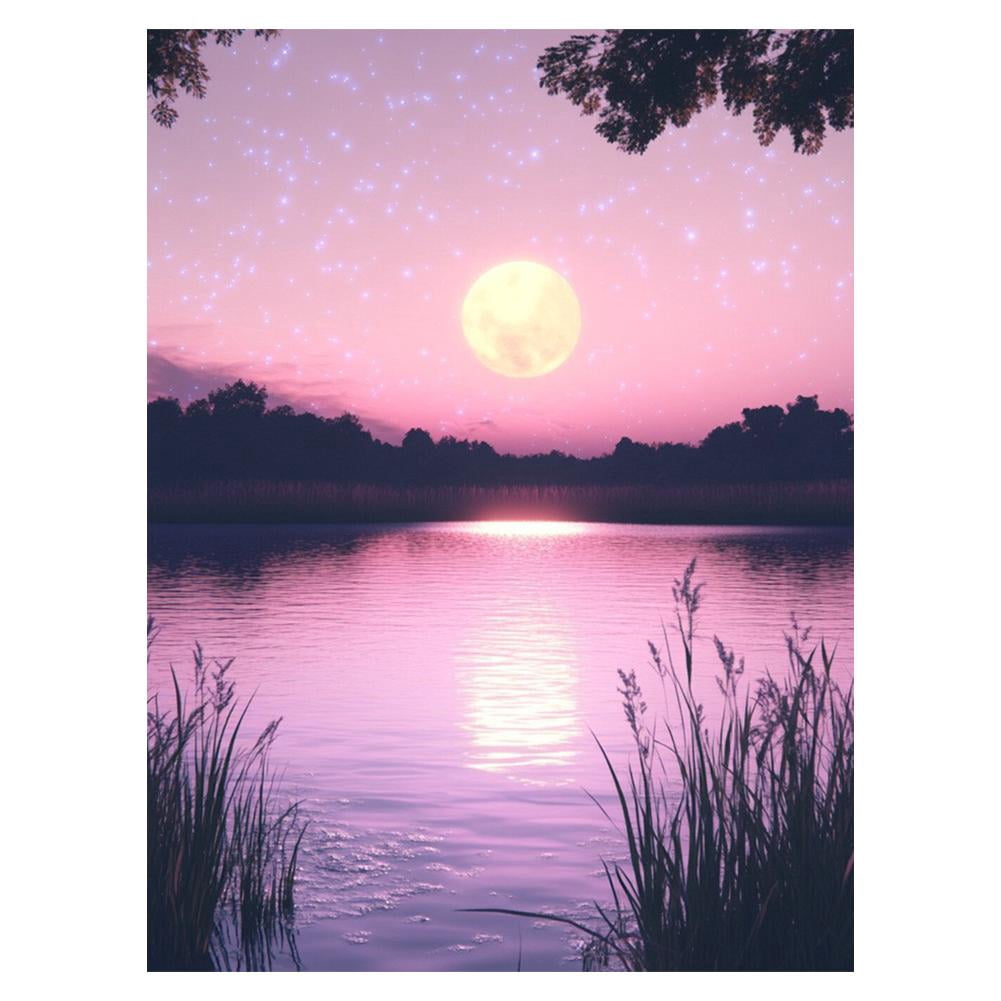 5D Diamond Art Painting Kits for Adults, DIY Diamond Art Painting Kits ...