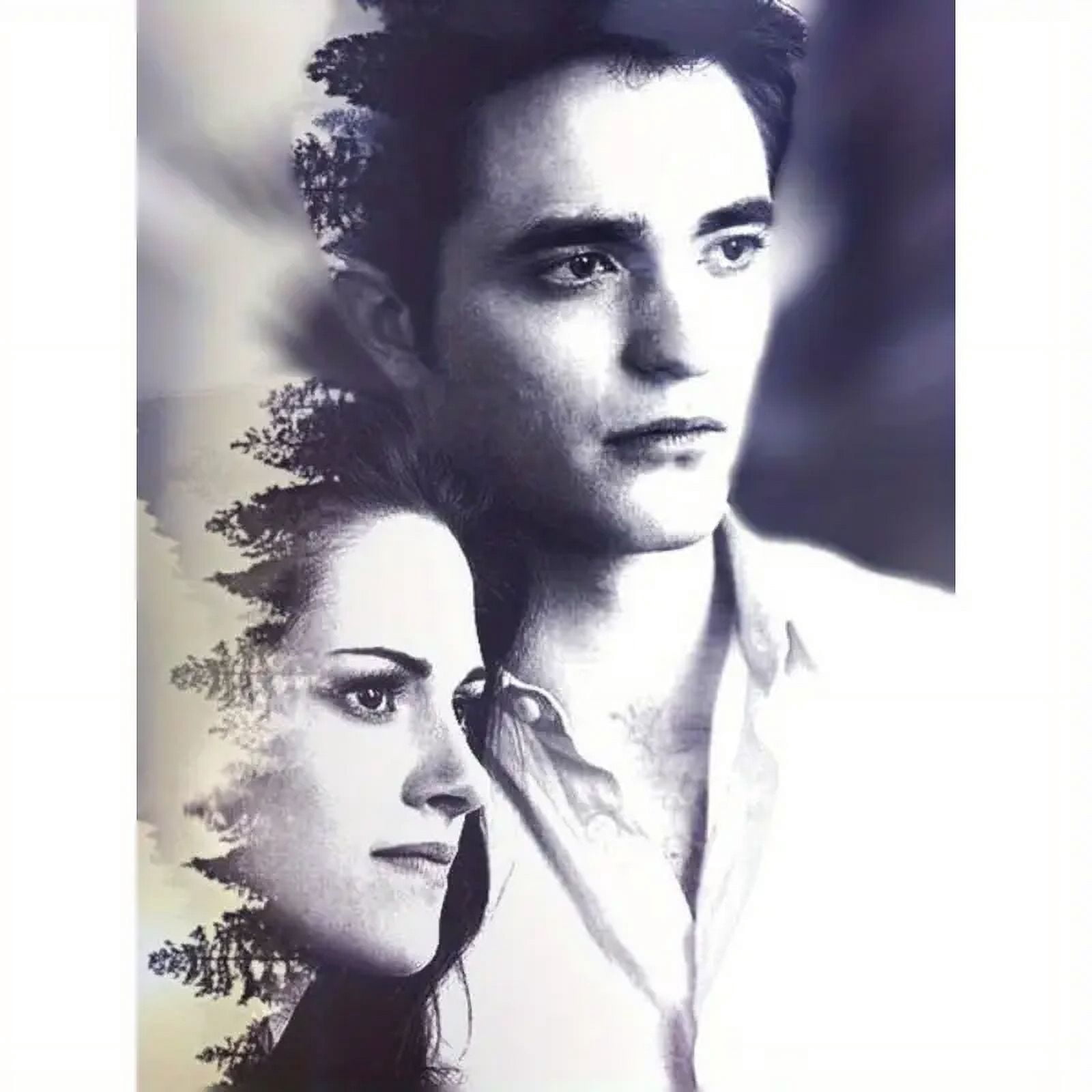 5D Embroidery Twilight Couple Diamond Art Painting - Full Round ...