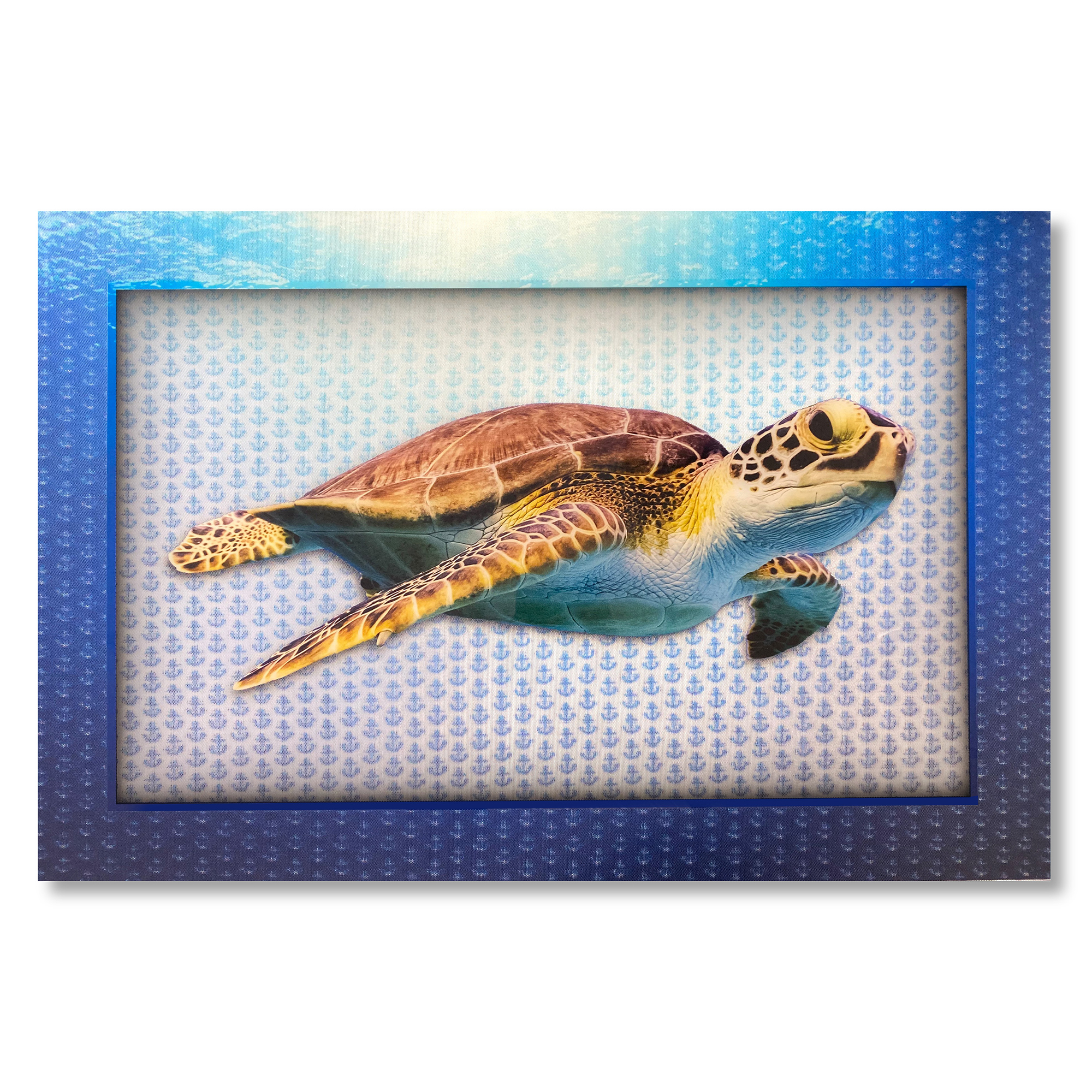 5D Multi-Dimensional Wall Art - Custom Made Turtle Wall Art Print on ...