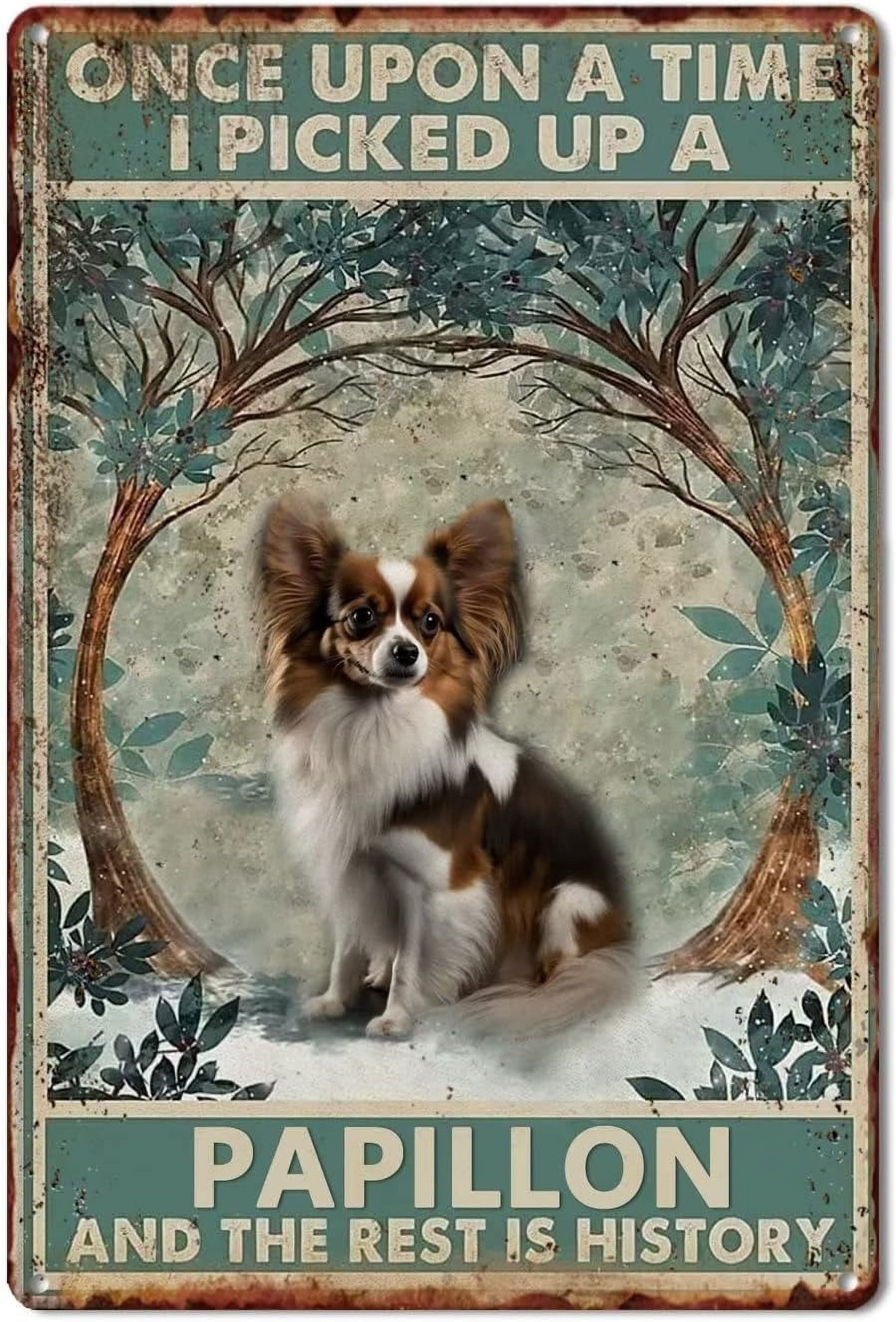 5D Papillon Diamond Painting Kit for Adults |I Picked Up A Papillon DIY ...