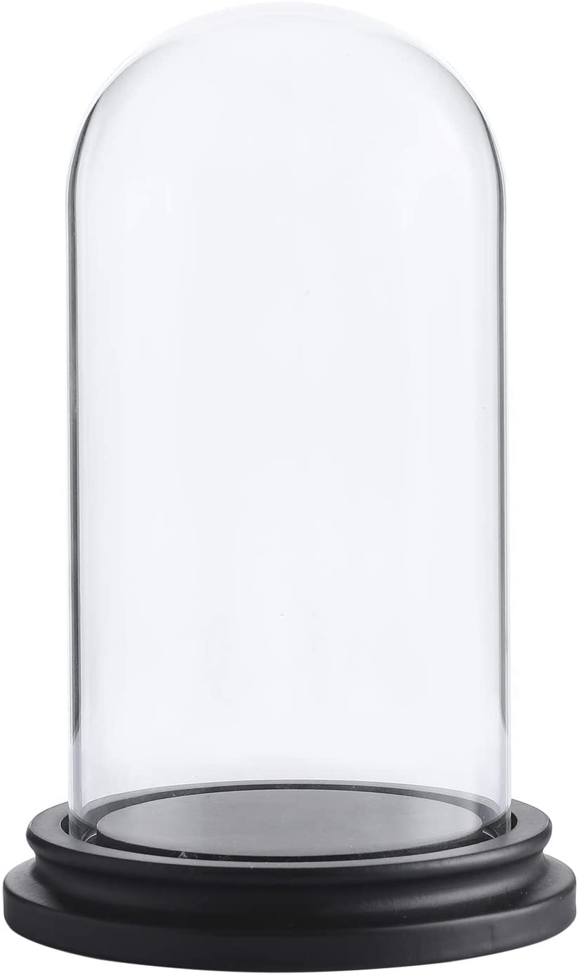 Plymor 6" x 7" Bell Jar Glass Display Dome Cloche, Walnut Wood Veneer ...