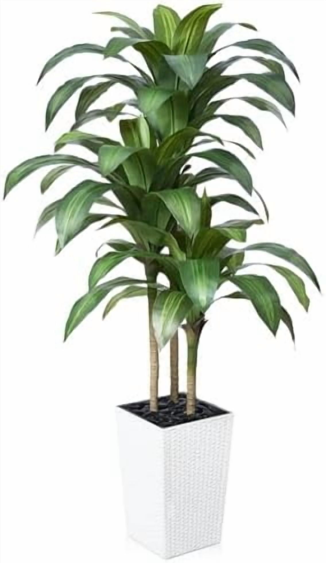 5FT Artificial Dracaena Tree - UV Resistant Faux Tropical Plant, Potted ...