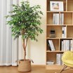 6 ft Tall Large Indoor Faux Moringa Oleifera Tree in Pot, Artificial ...