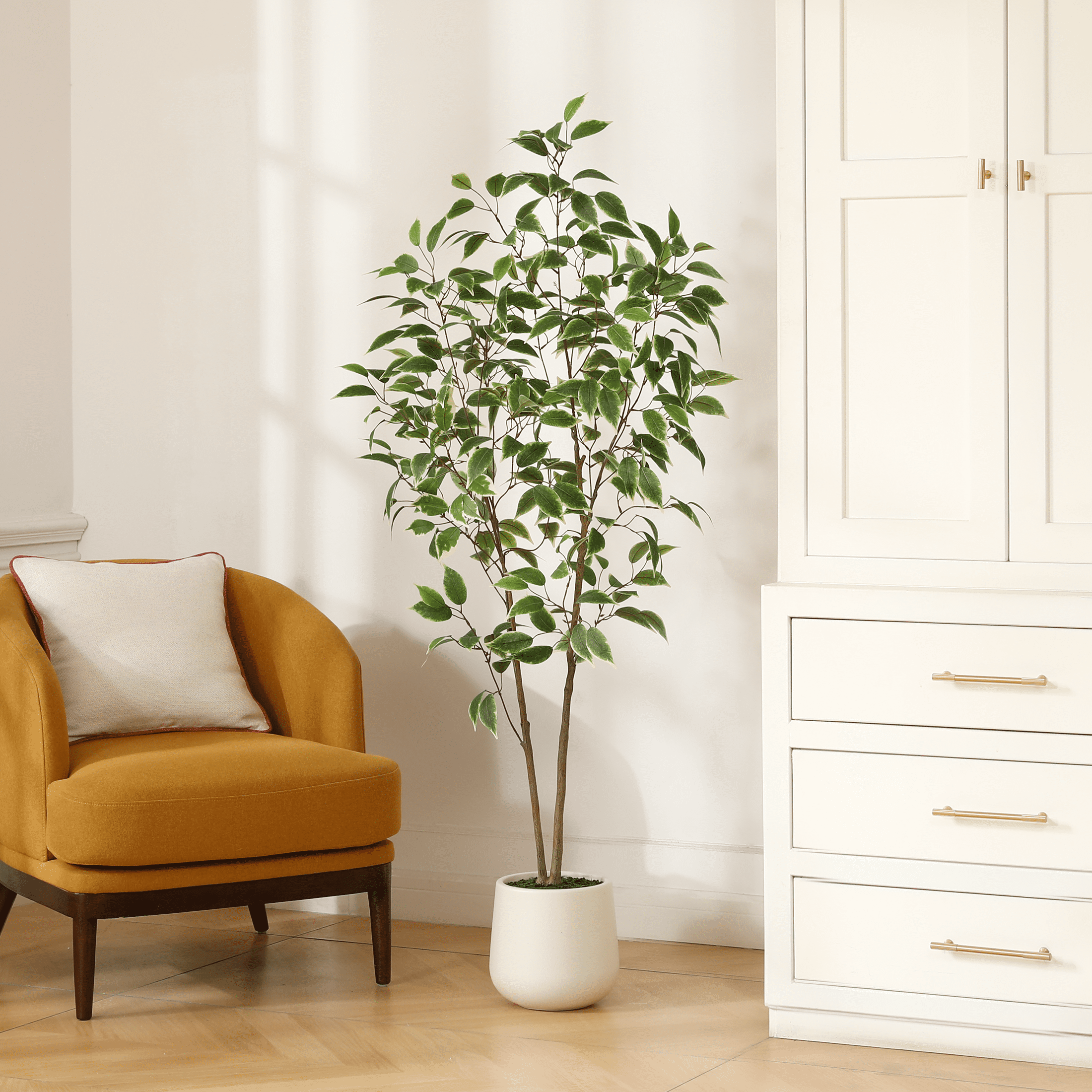 5FT Artificial White-Edged Ficus Elastica in Oval White Pot, Perfect ...