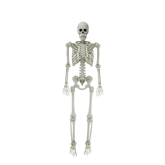 Giant Skeleton