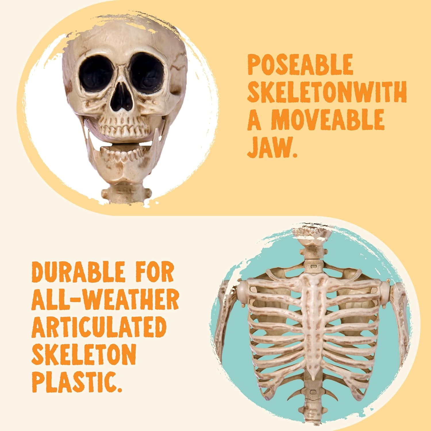 5FT Halloween Posable Skeleton Full Body with Movable Joints, Realistic ...