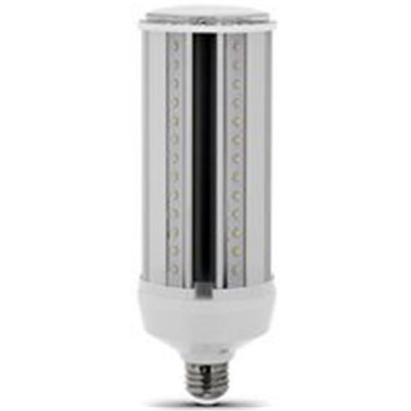 Cylinder Light Bulb