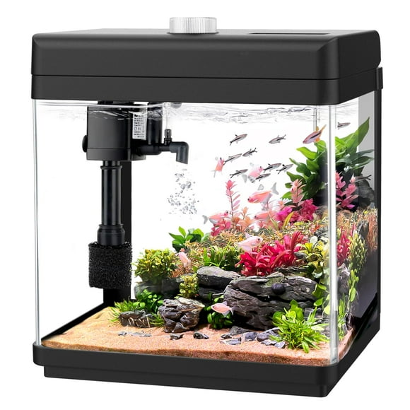 5 Gallon Fish Tank Kits