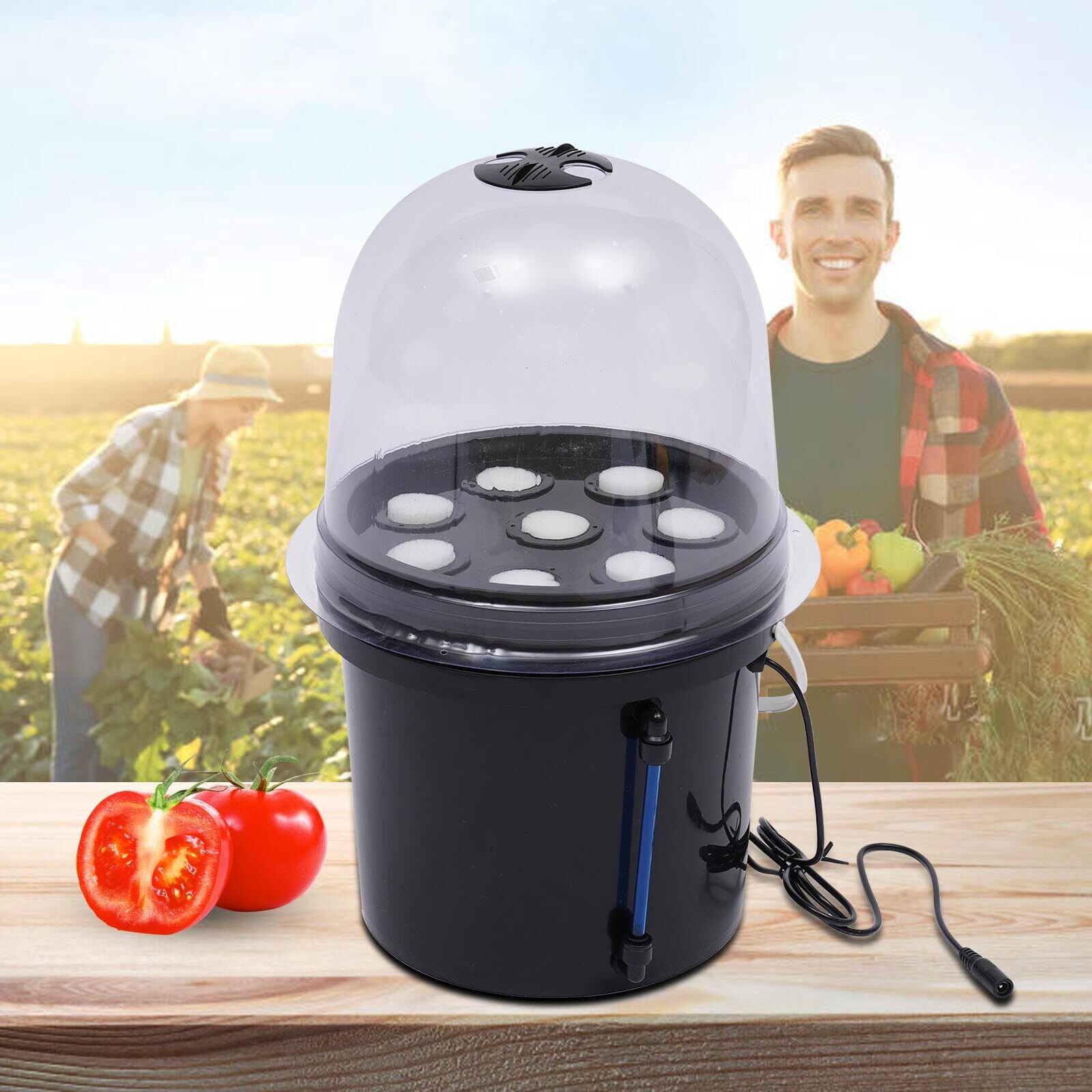 5L Hydroponic Equipment 8 Holes Fog Seedling Cultivation Box Black Semi ...