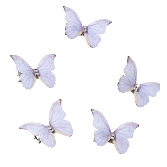 5PCS Butterfly Barrette Side Hair Clip For Women Girl Birthday Gift ...