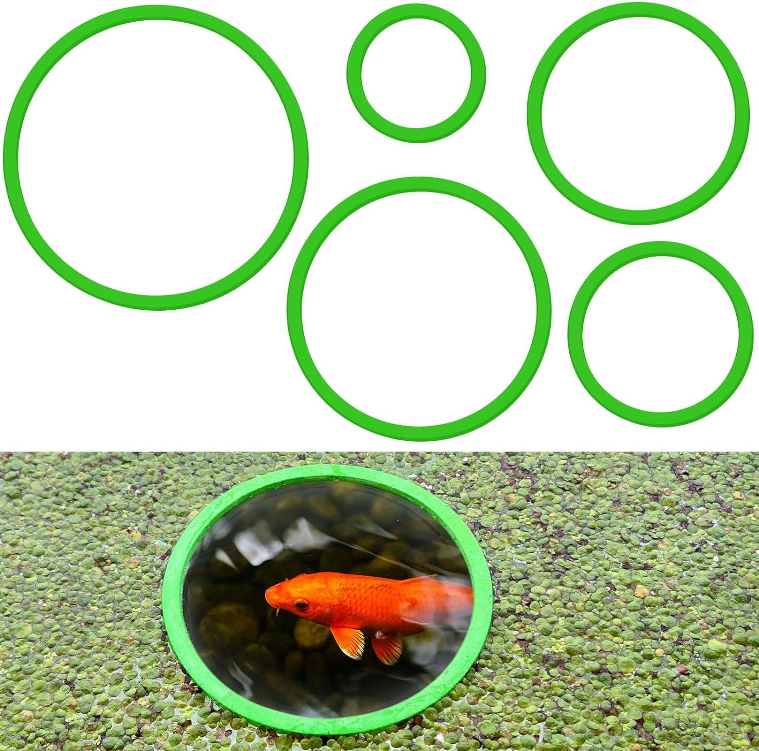 5PCS Fish Feeding Ring Round Aquarium Floating Plant Corral Tank ...