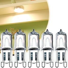 2 Prong Light Bulb