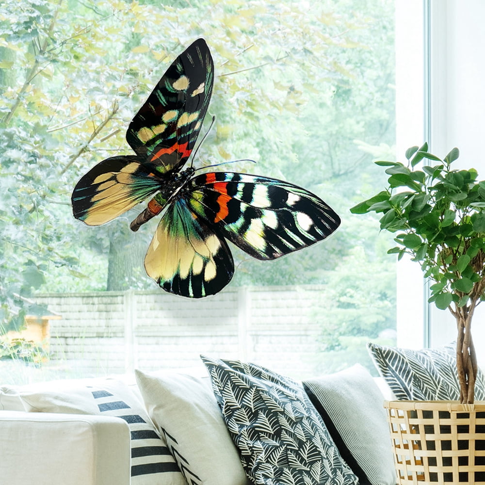 5PCS Giant Butterfly Wall Stickers Decor,3D Large Butterflies Window ...