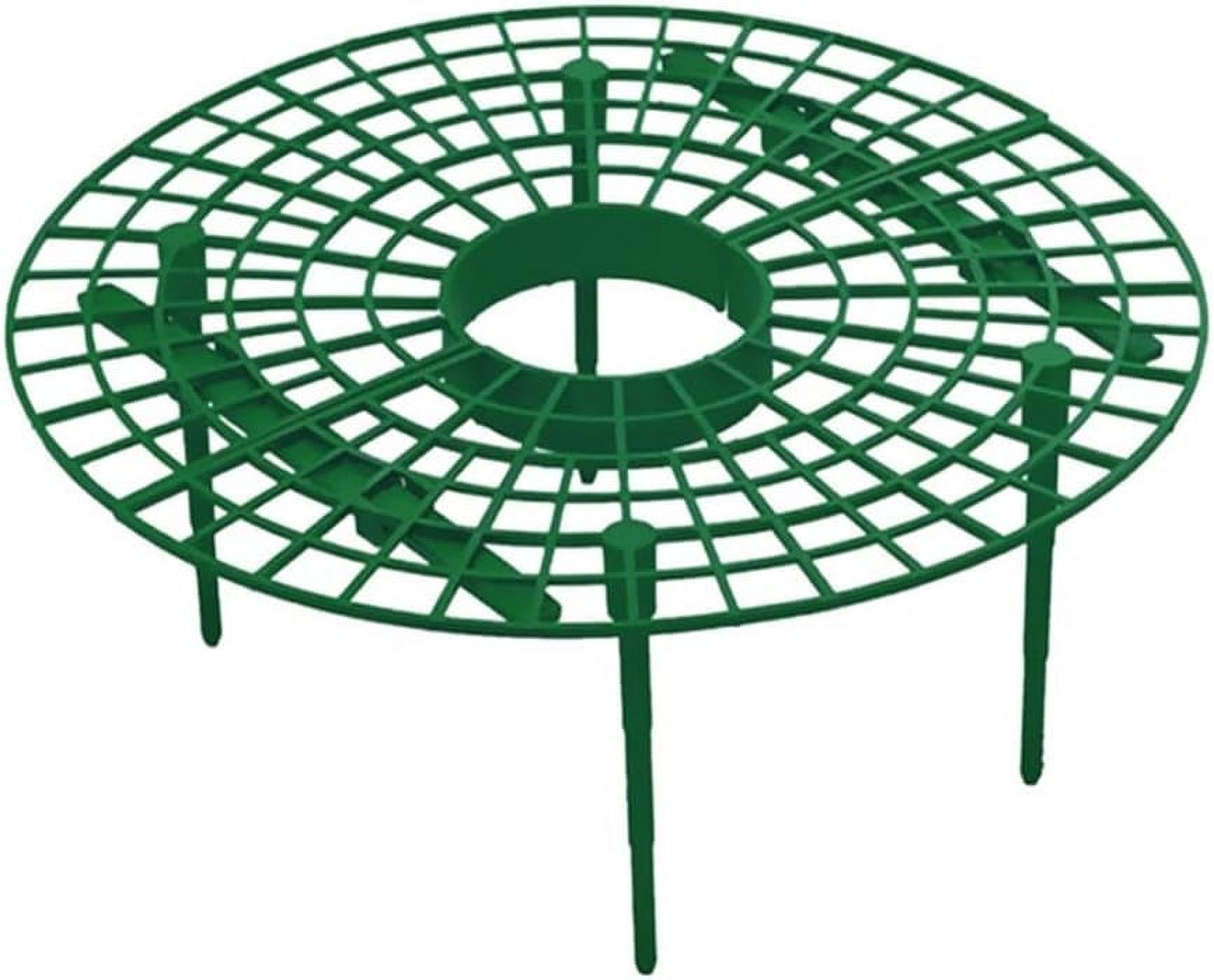 (5PCS_Green) Strawberry Plant Support, Strawberry Supports Strawberry ...