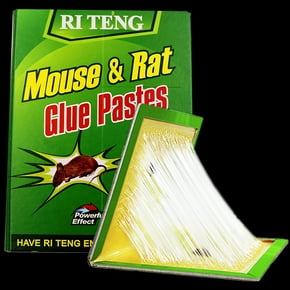 Rat Sticky Pads