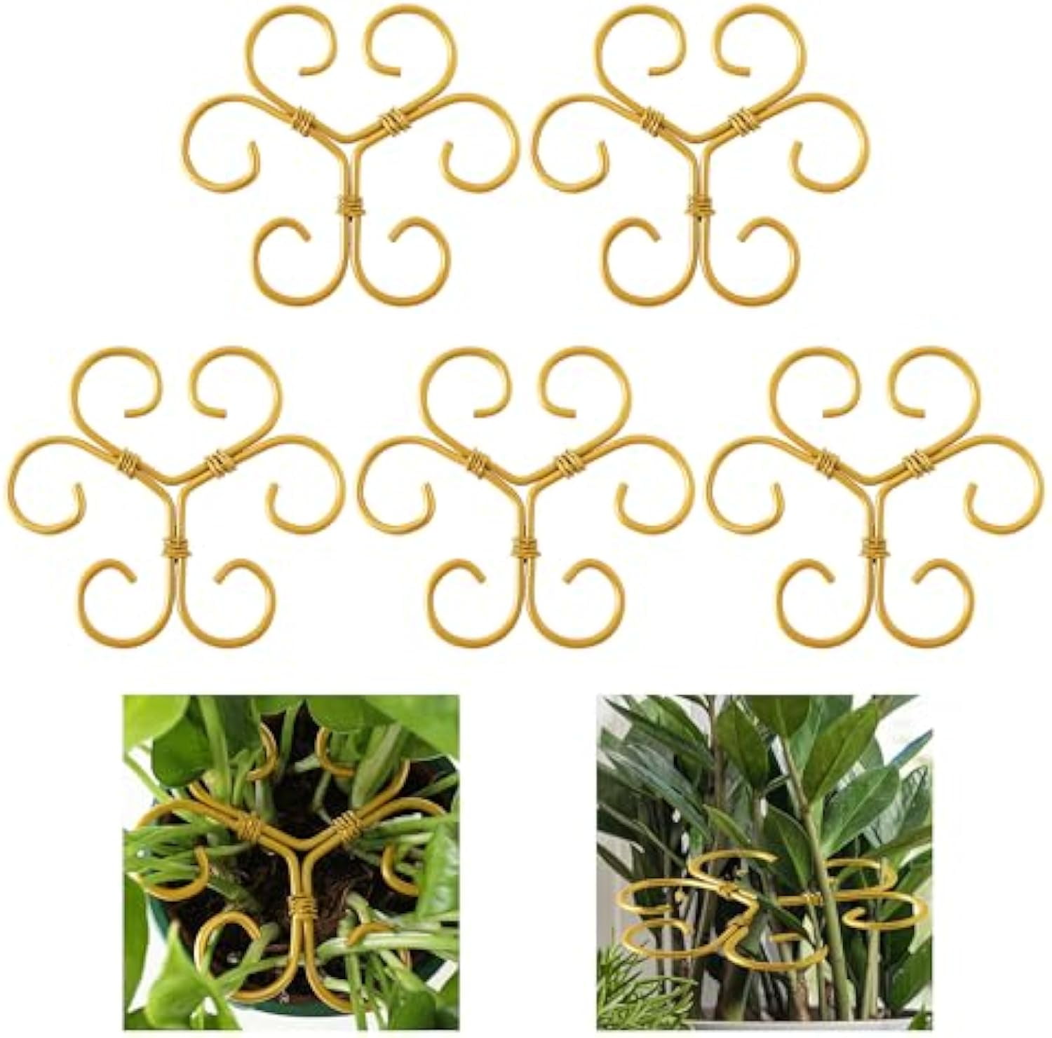 5PCS Plant Stem Support - Monstera Stabilizer Grapple Holder, Turtle ...